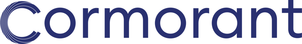 Electric aircraft for a more sustainable future | Cormorant