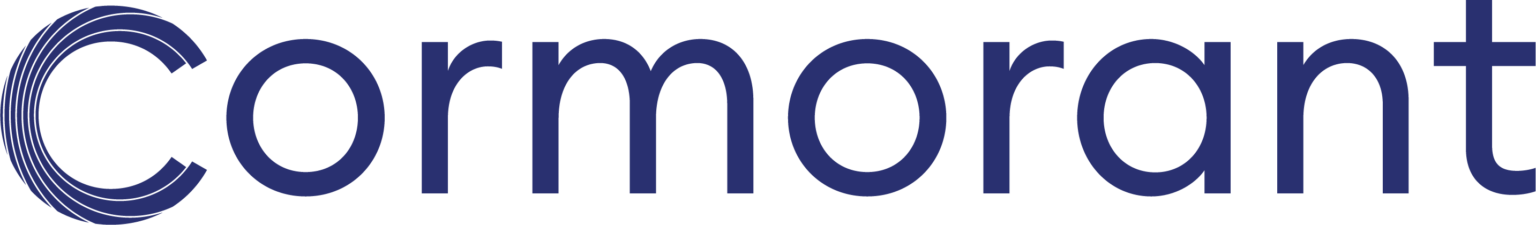 Electric aircraft for a more sustainable future | Cormorant